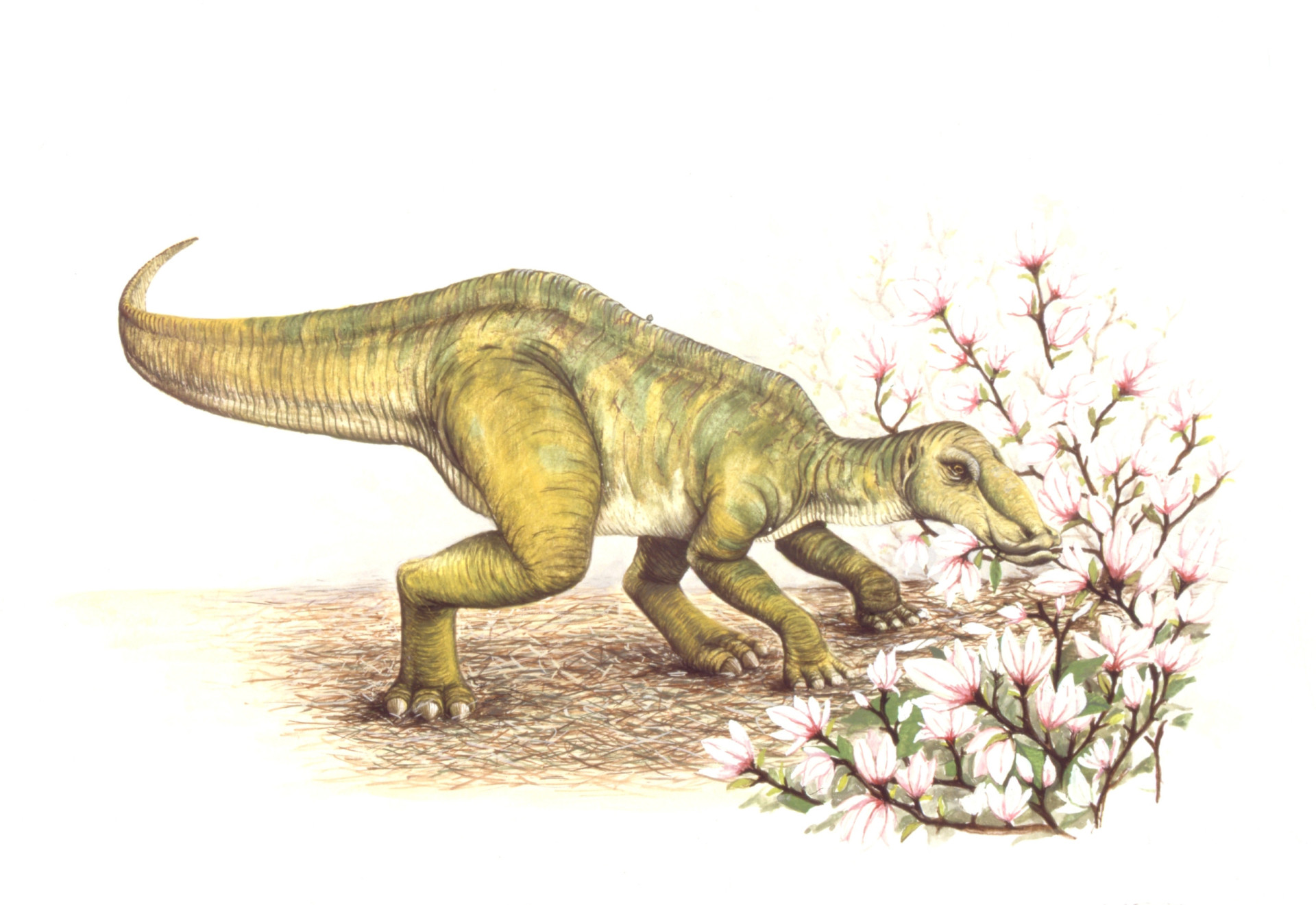 Gerüche der Vergangenheit: Wie roch die Welt vor 252 Millionen Jahren?