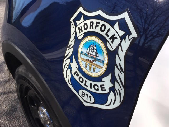NPD: 3 juveniles charged after Ocean View gathering