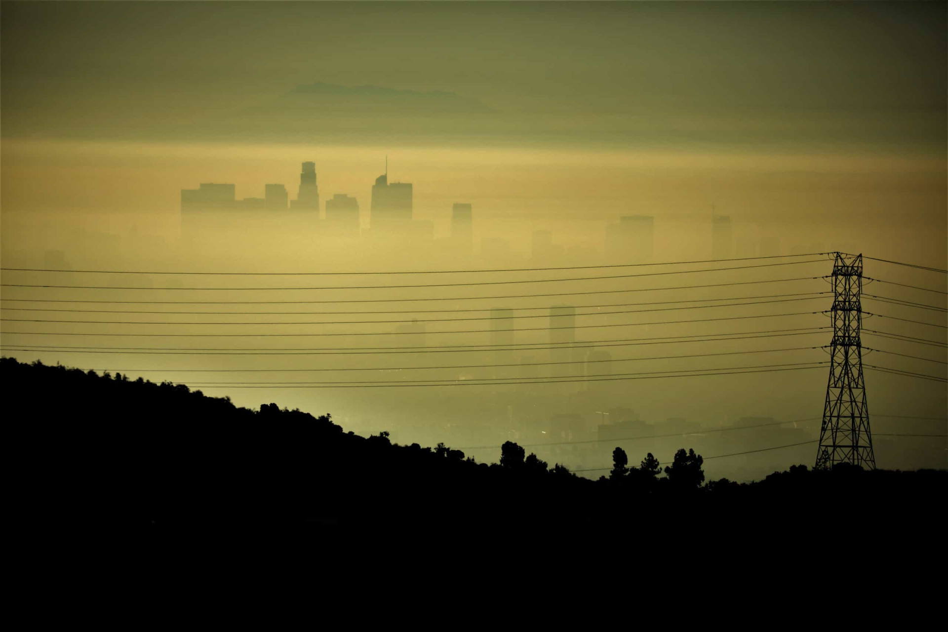 Major cities under threat from natural disasters