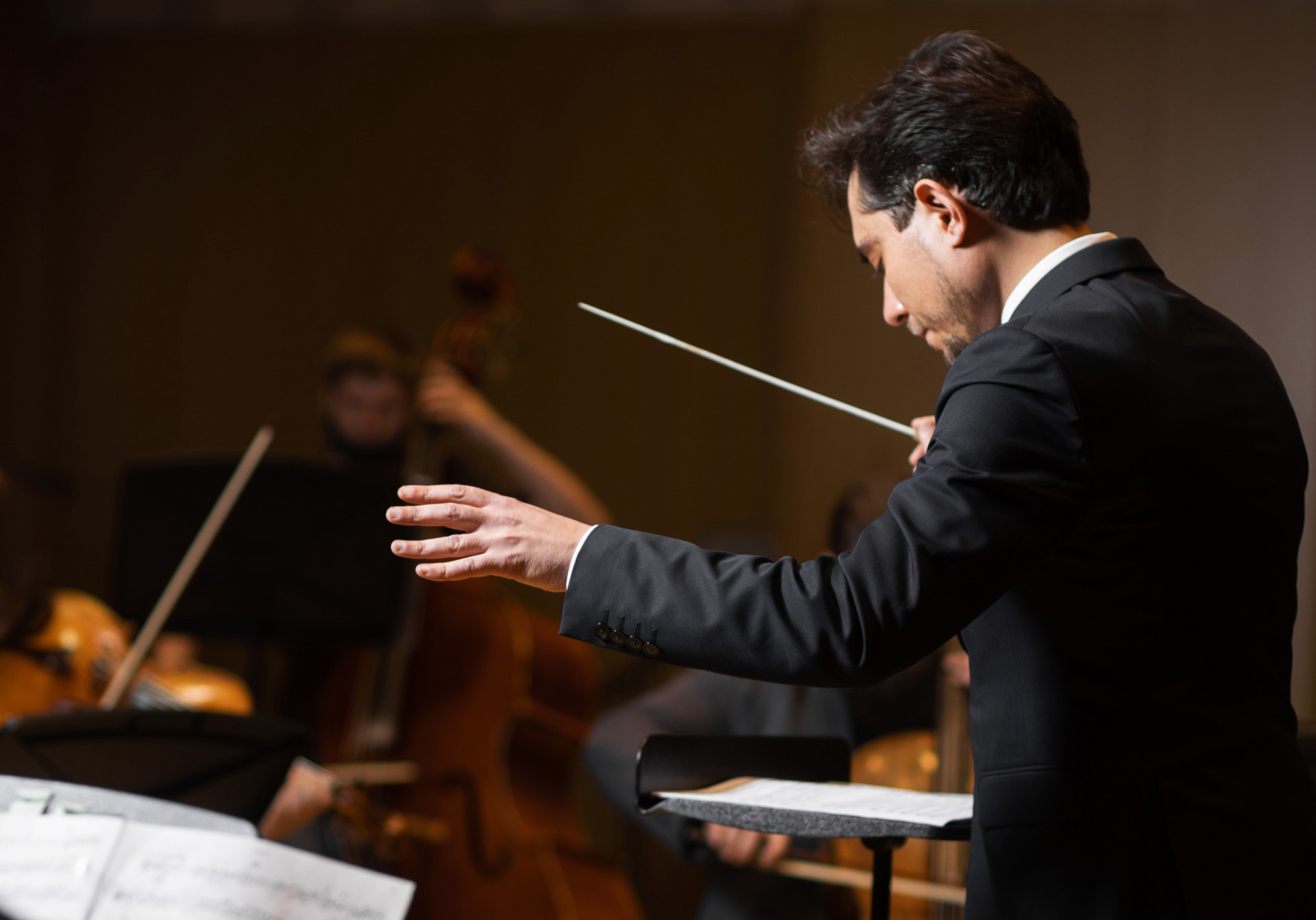 Hvad er meningen med en dirigent for klassisk musik?