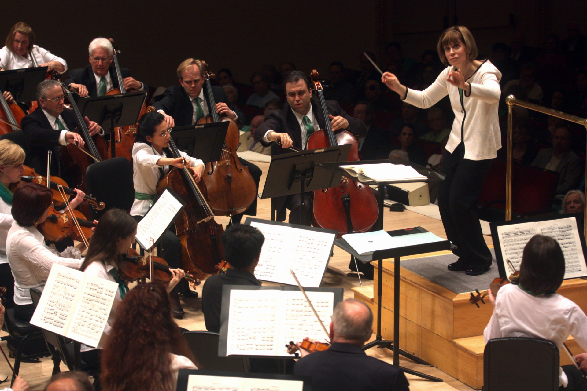 Hvad er meningen med en dirigent for klassisk musik?