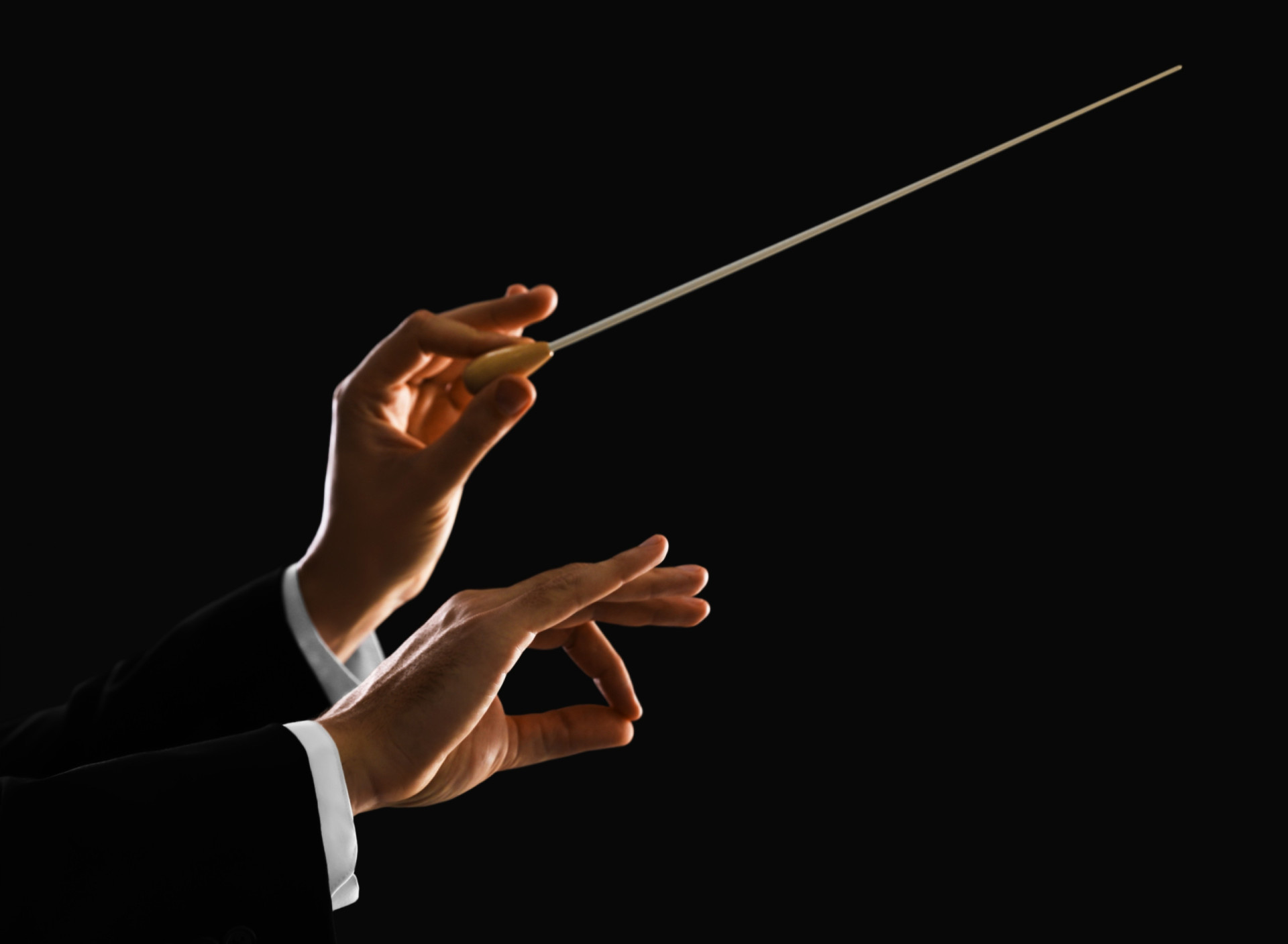 Hvad er meningen med en dirigent for klassisk musik?