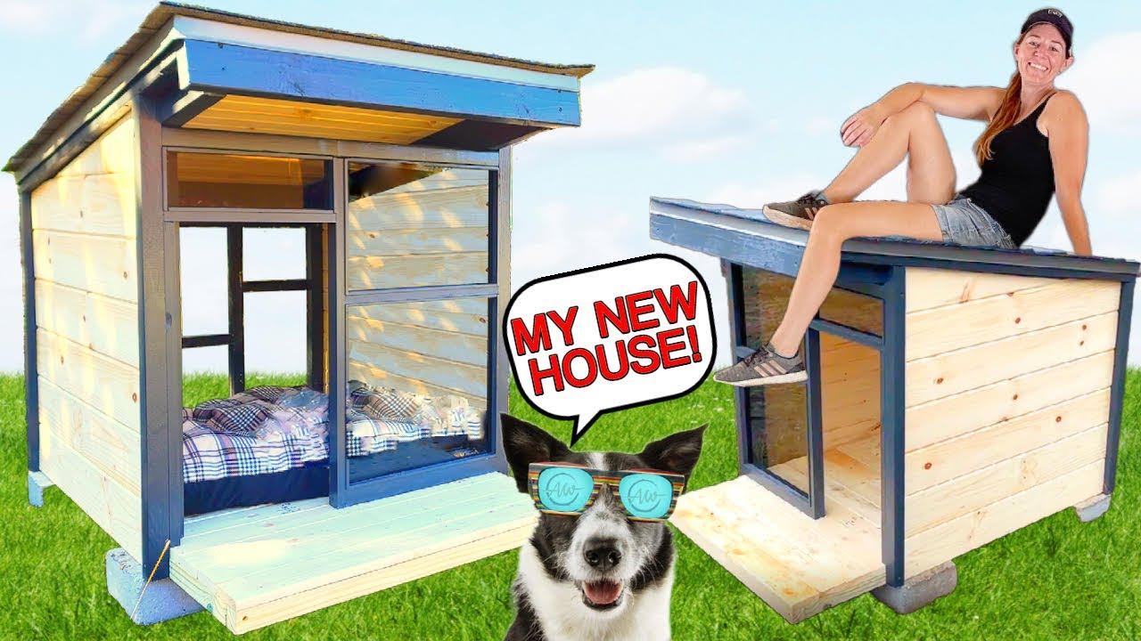 Build a modern dog house using sustainable materials