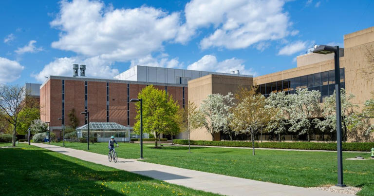 Wright State, IU East collaborate on new medical lab articulation agreement