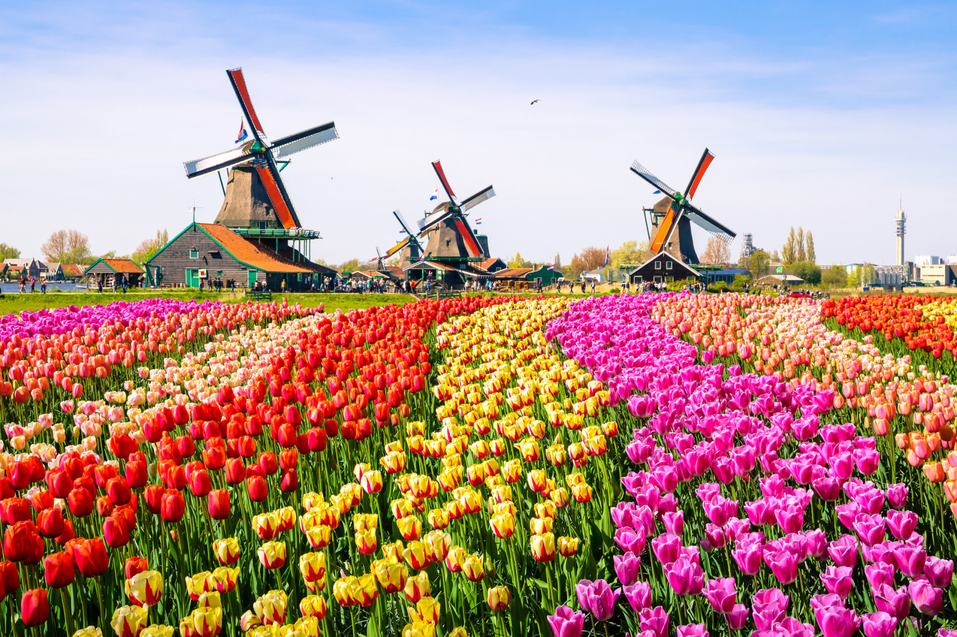 Nederland in top 30 landen met beste weer ter wereld?!