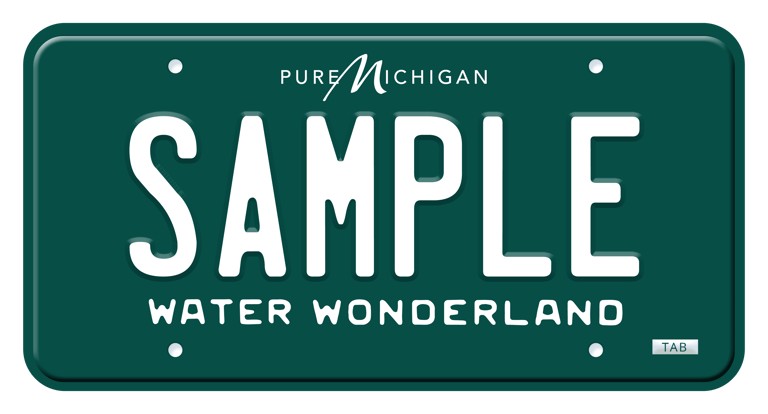 Which Michigan license plate is most popular? See the list