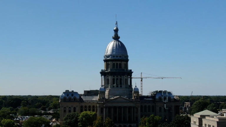 Bill to create program offering automatic admission to Illinois ...