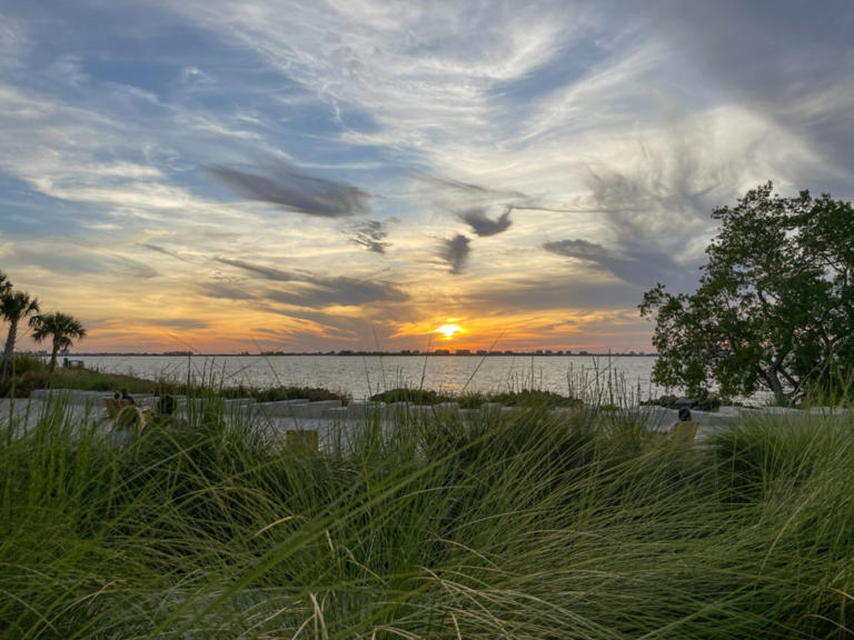 Fun Things to do in Sarasota with Kids: A Delightful Weekend Getaway