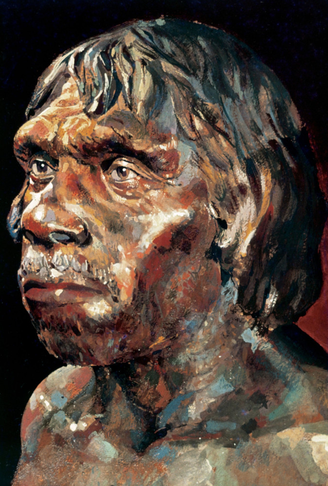 Pourquoi les hommes ont-ils perdu leur os pénien