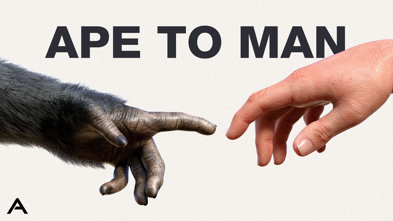 A ten-minute overview of human history across civilizations