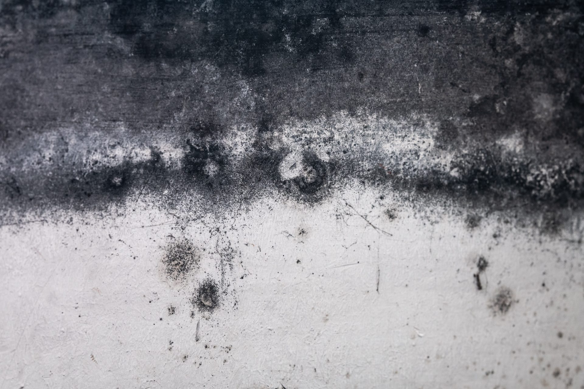 Dark life in the most radioactive place on Earth