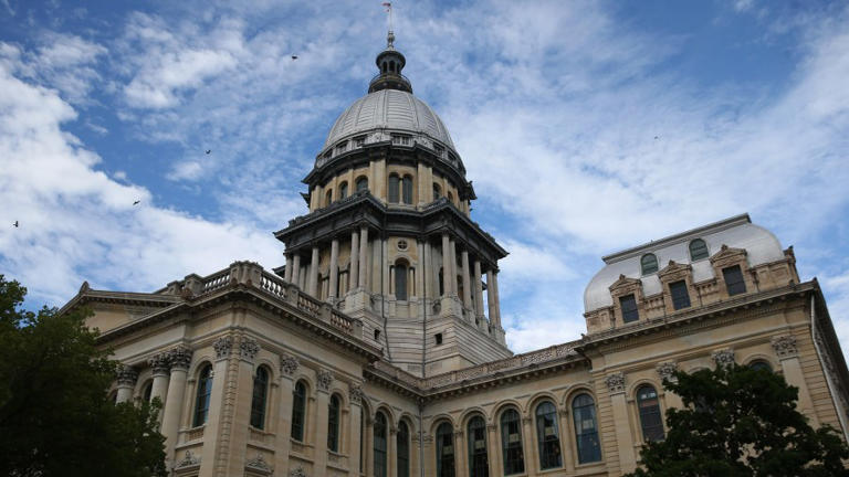 New Illinois law effective this year will streamline process for ...