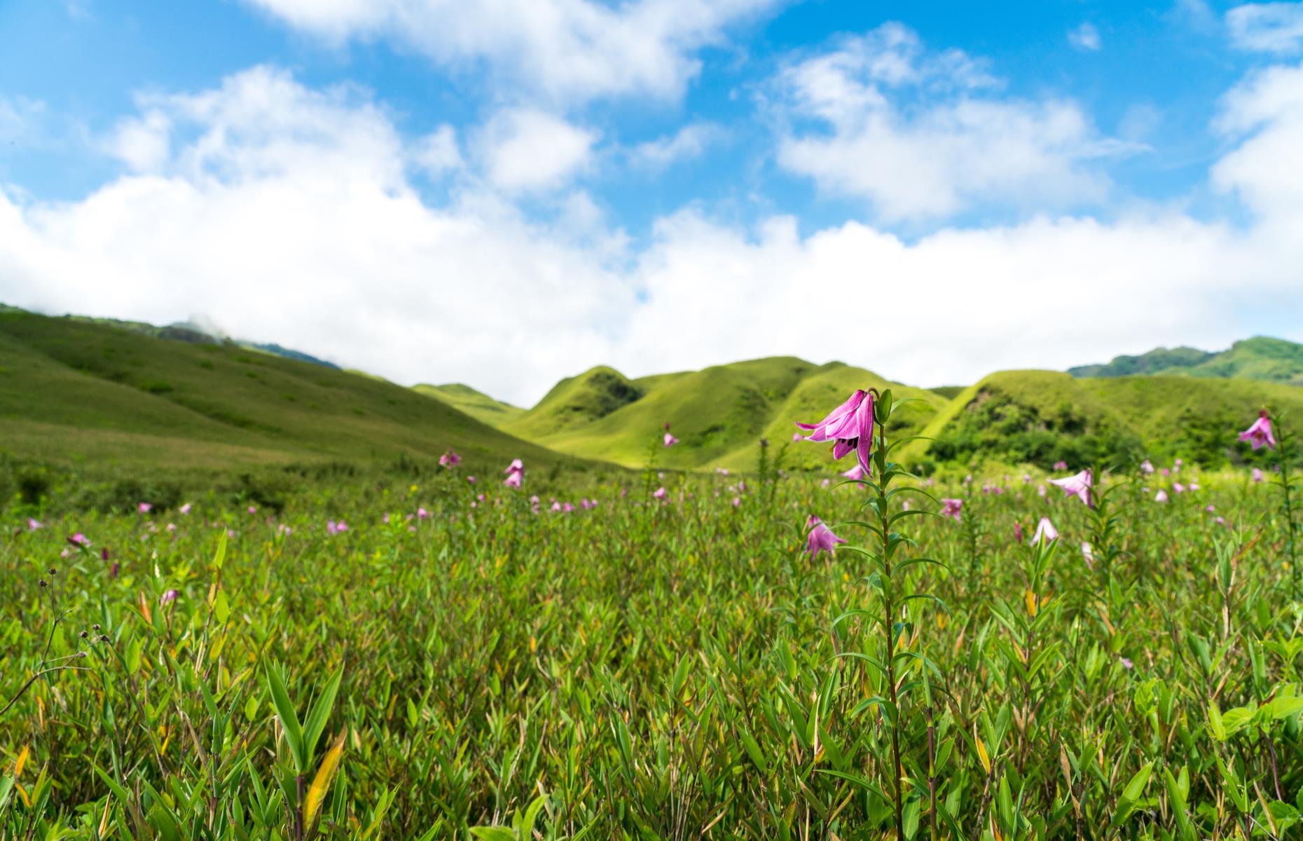 A century ago, the government hired unemployed young men to build ...