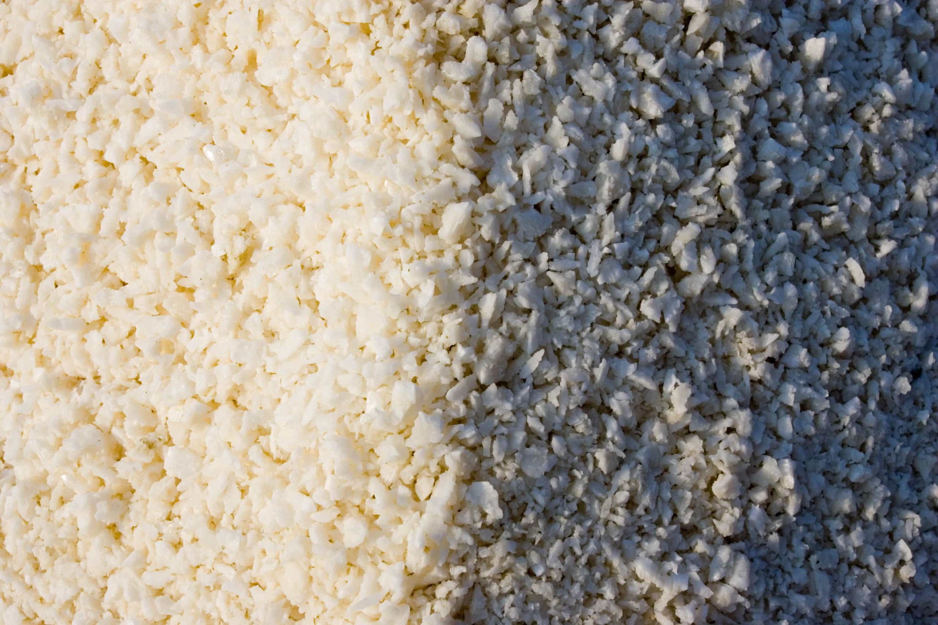 WWII: Why Japanese Americans were interned