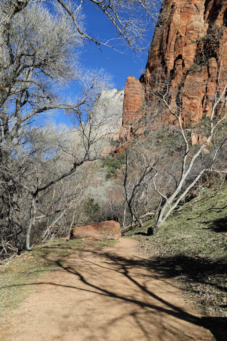 18 EPIC ZION NATIONAL PARK HIKES YOU DON'T WANT TO MISS!