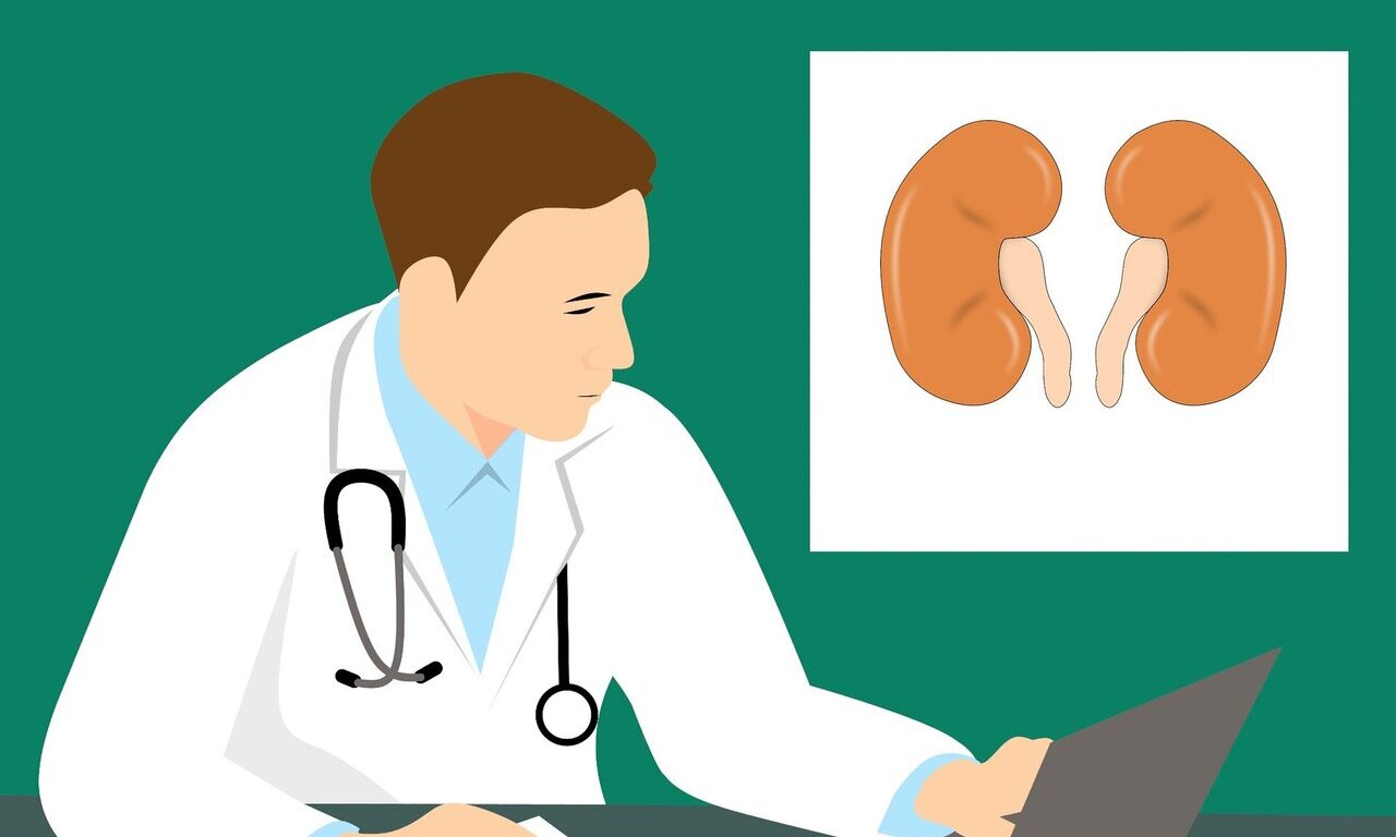 Women with kidney disease are undertested, undertreated and left behind ...