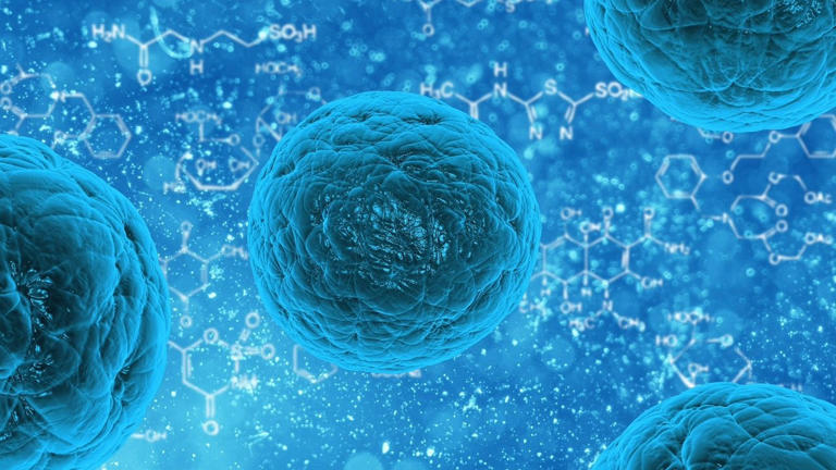 Study proposes reconsidering how histone deacetylase inhibitors work in ...