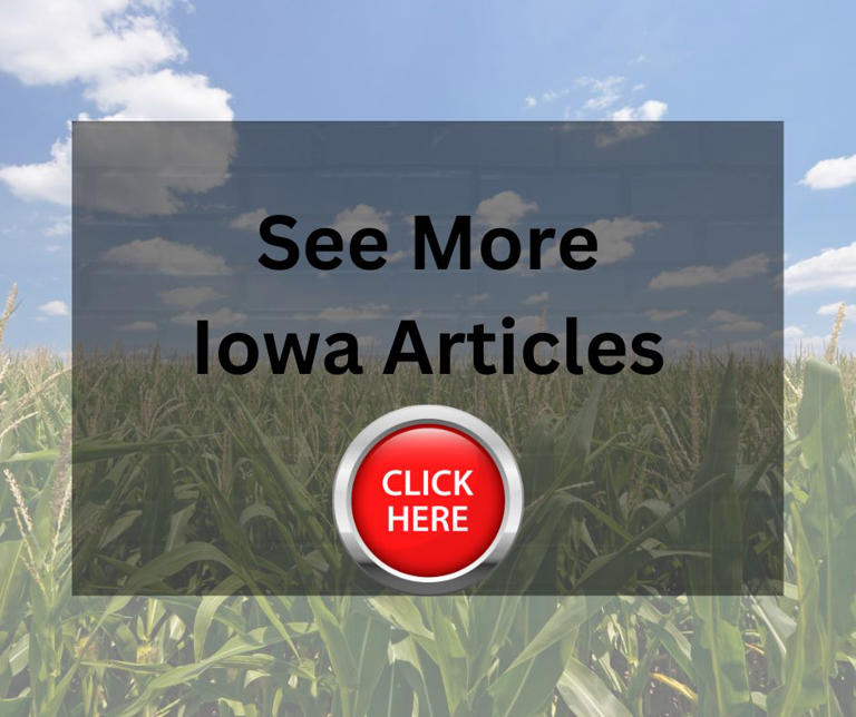 Top Amusement Parks in Iowa: Fun for the Whole Family