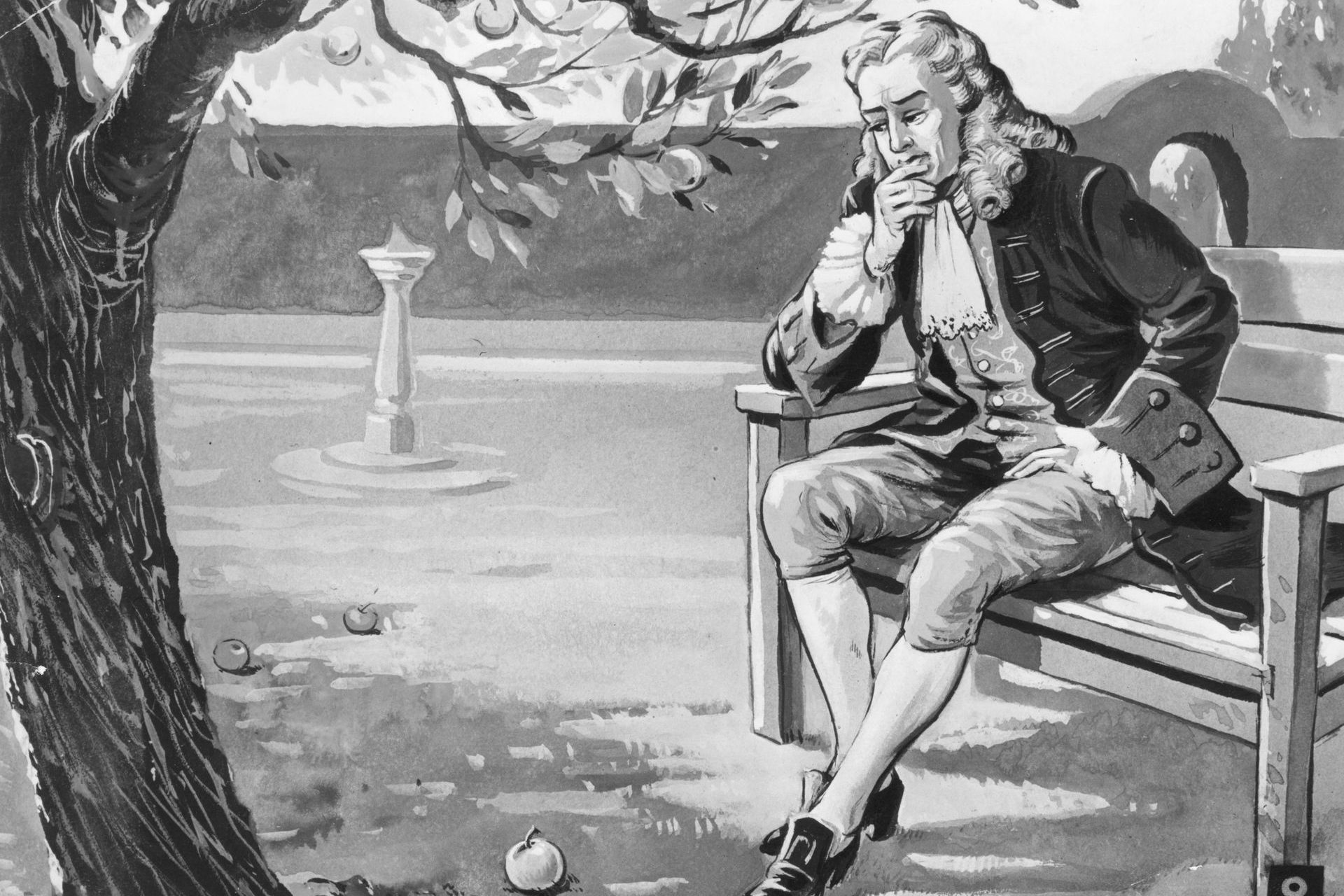 John Lewis partners with Topshop to bring brand back to high street