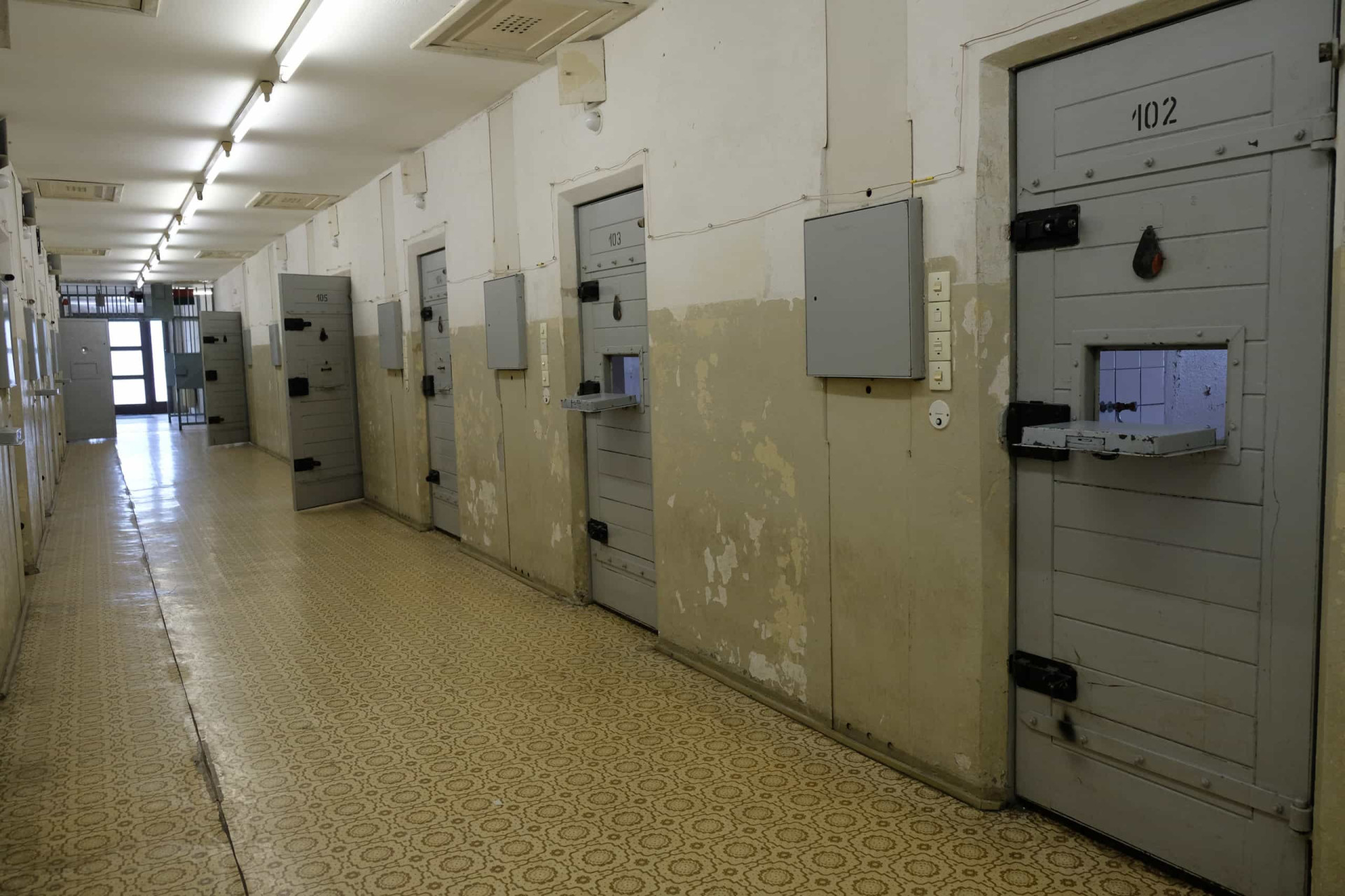 Dark Side of the Horse by Samuli Lintula