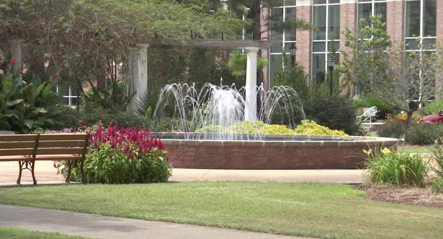 Myrtle Beach lawmaker wants DEI out of higher education admissions ... Myrtle Beach lawmaker wants DEI out of higher education admissions ...