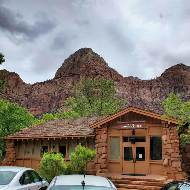 Things to do in Zion National Park
