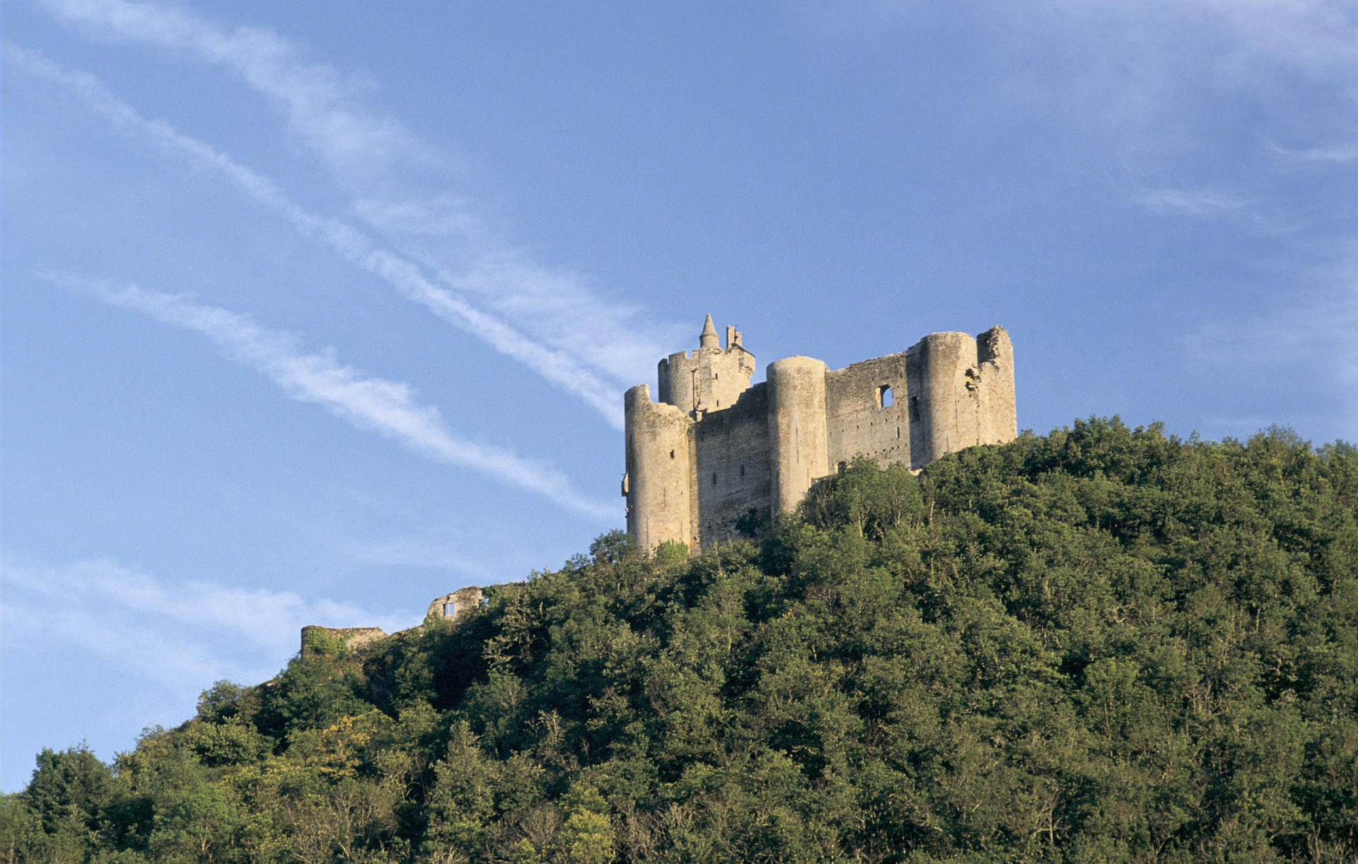 Who were the Cathars, and what did they believe?