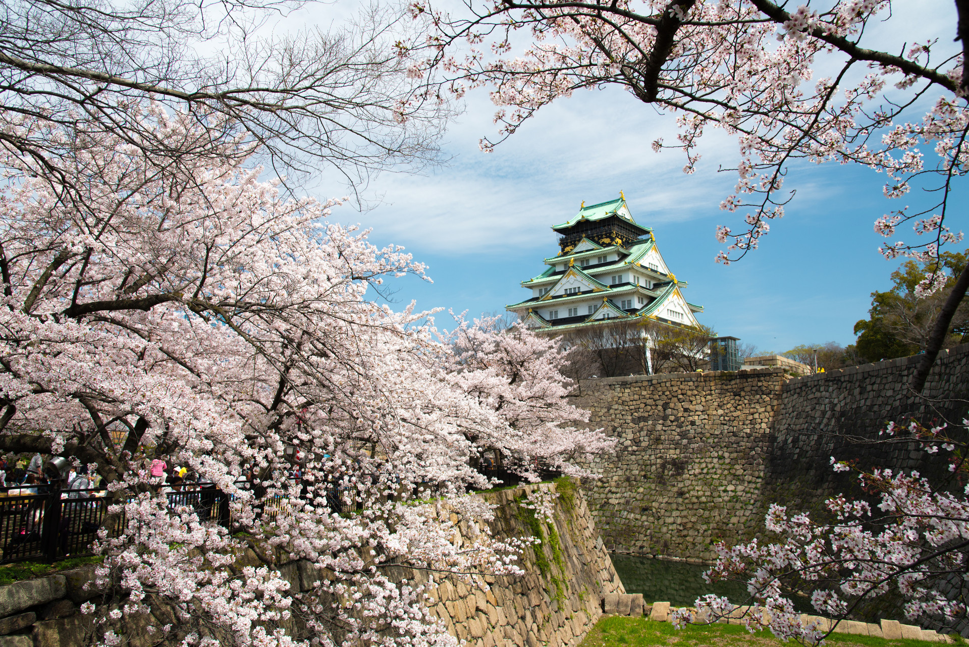 Interesting facts you didn't know about the Titanic