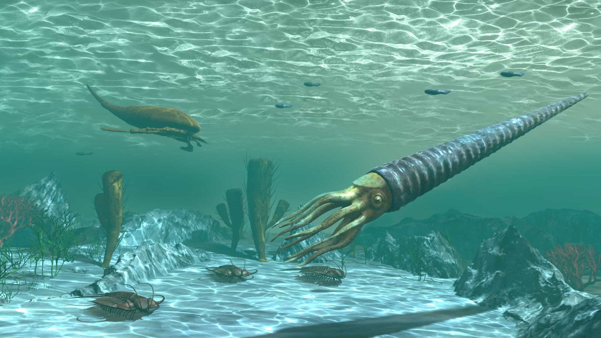 The history of mass extinction events on Earth