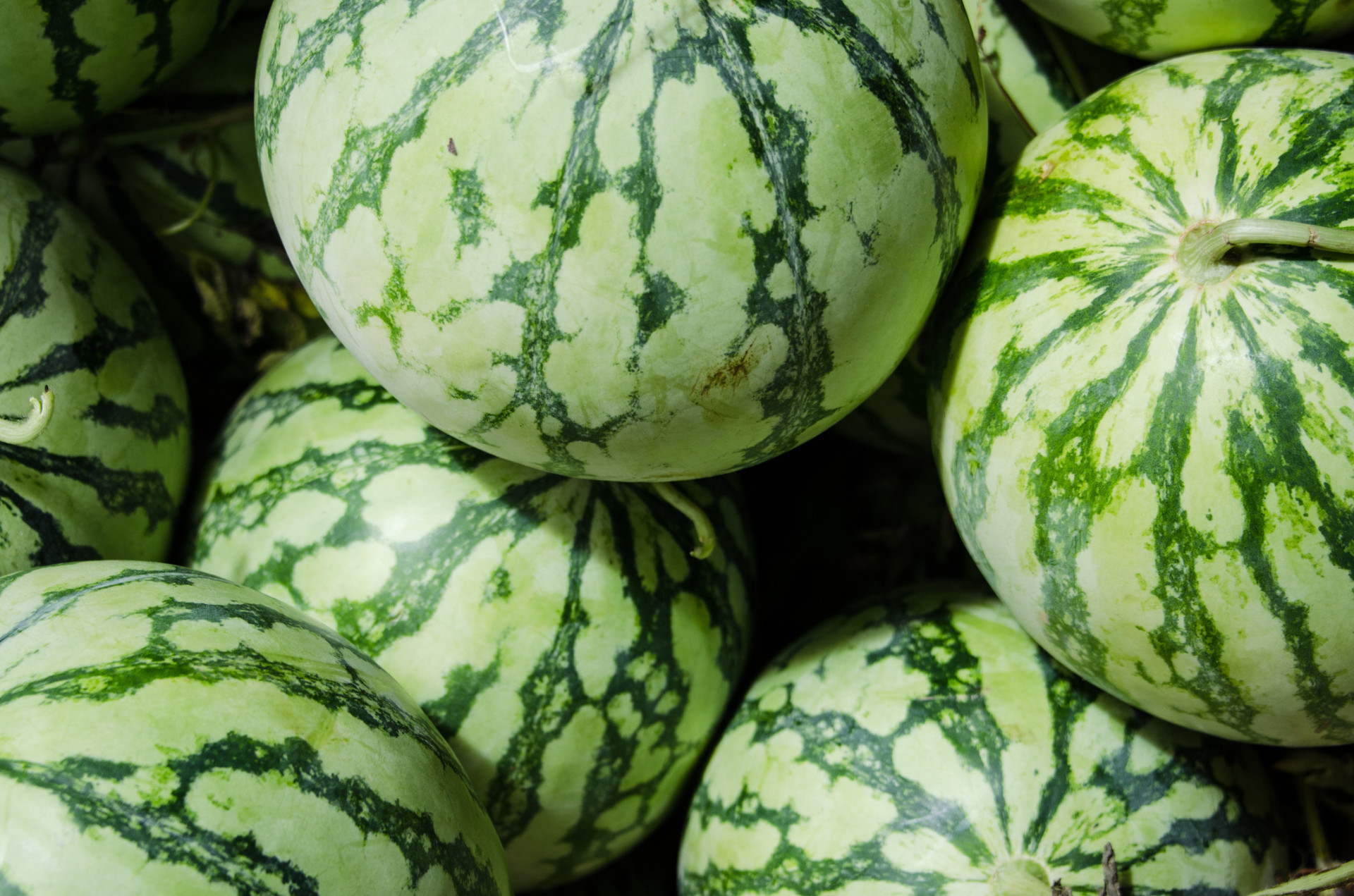 The food industry's biggest scandals