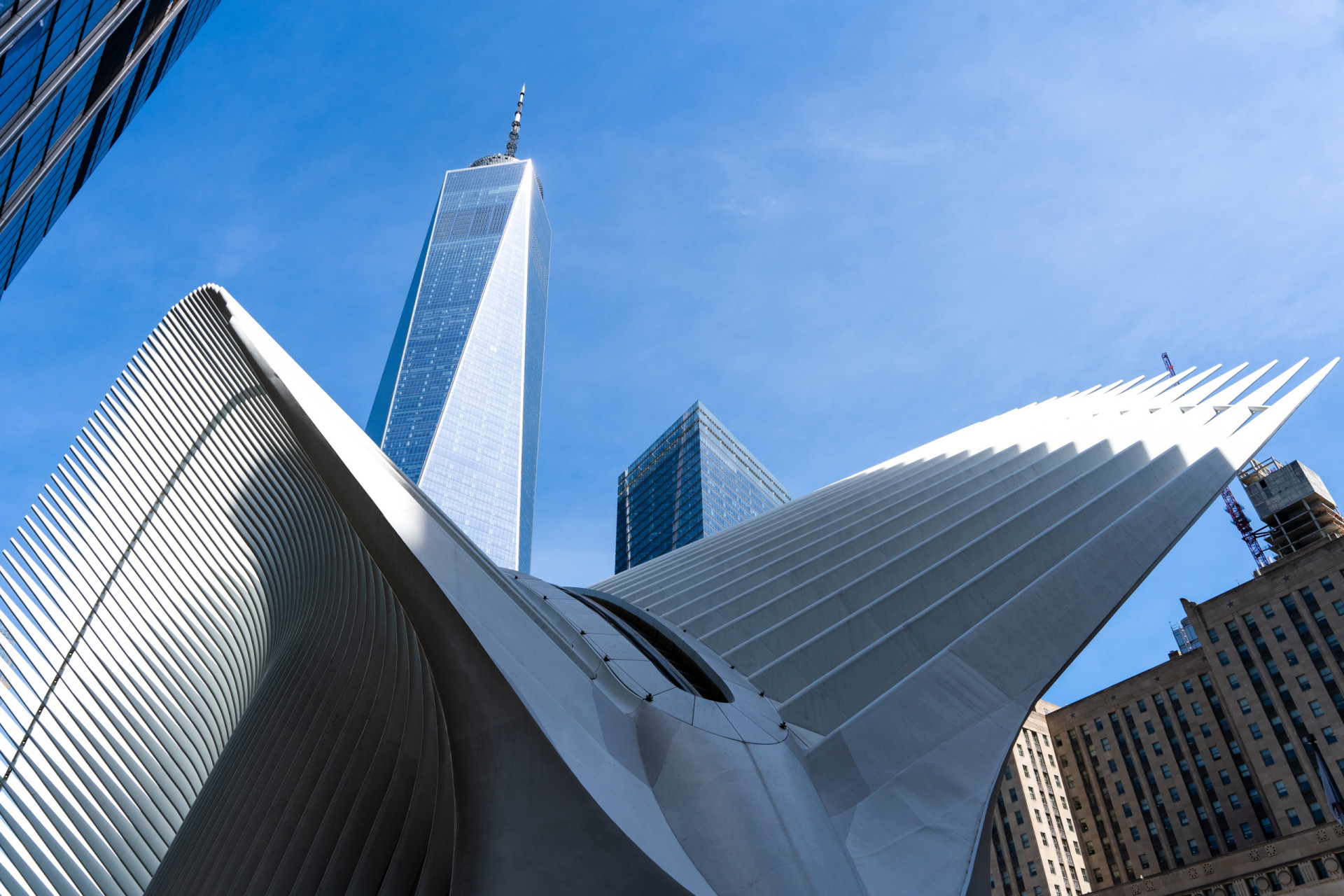 Hochstes Gebaude Usa