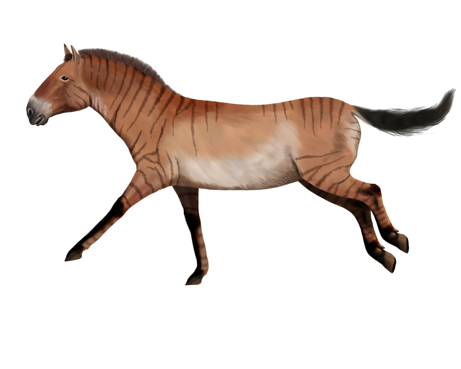 Prehistoric animals you won't believe existed