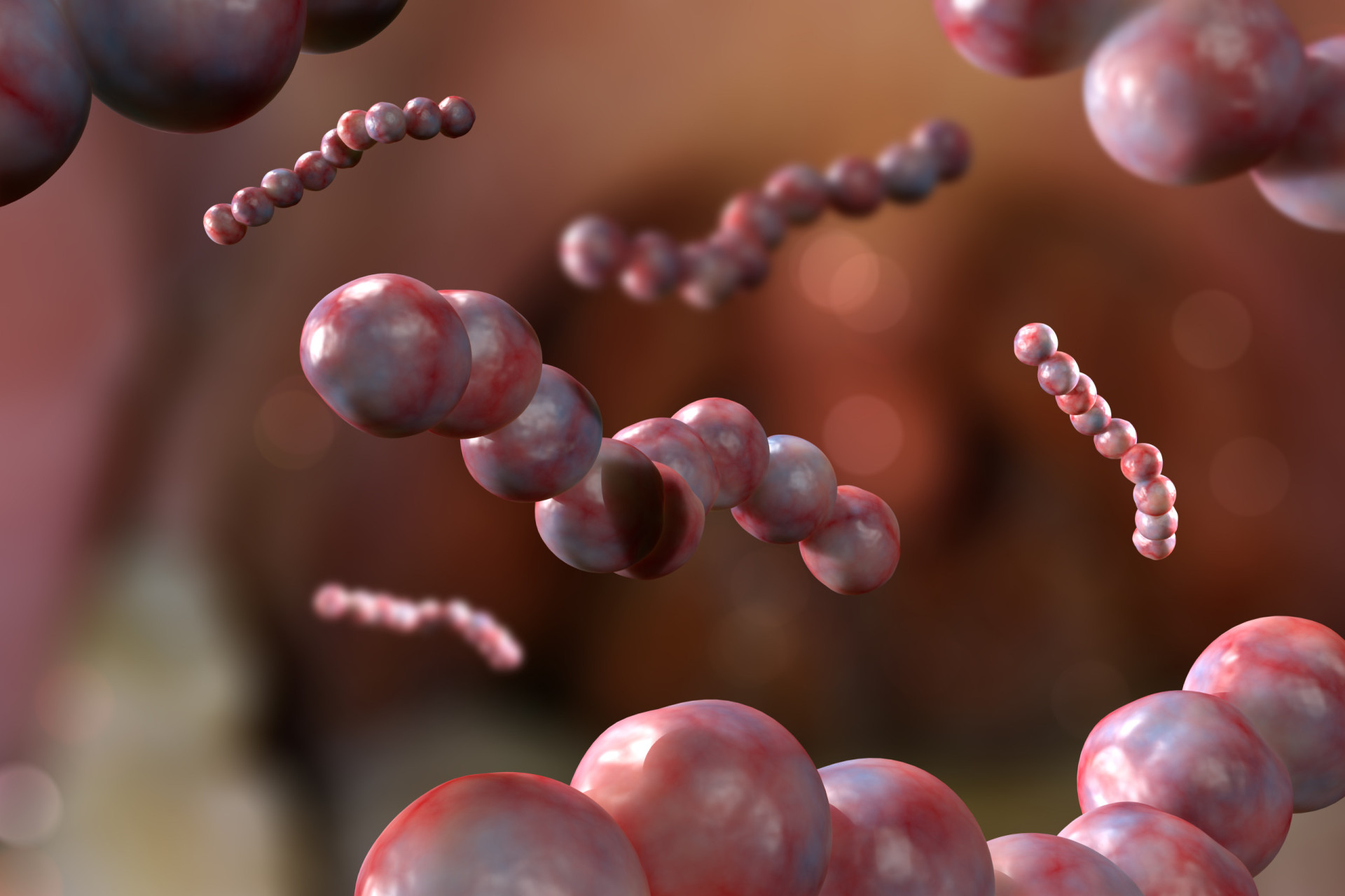 Scarlatine: comment diagnostiquer et traiter cette maladie