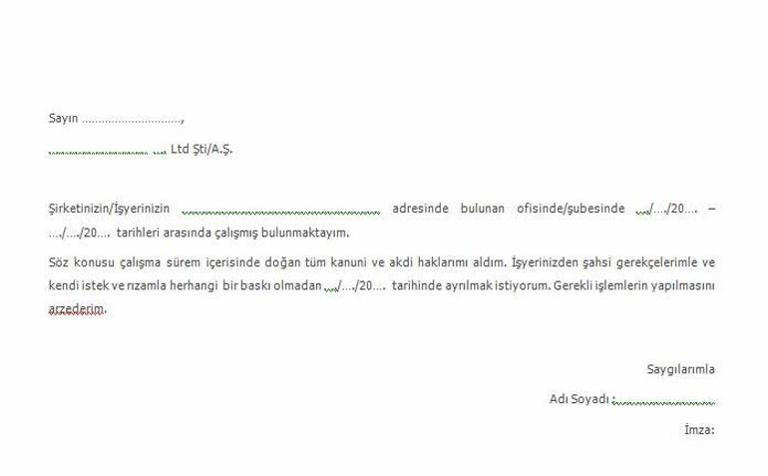 İstifa Dilekçesi Nasıl Yazılır? 2025 İstifa Dilekçesi Örneği (Word Ve ...