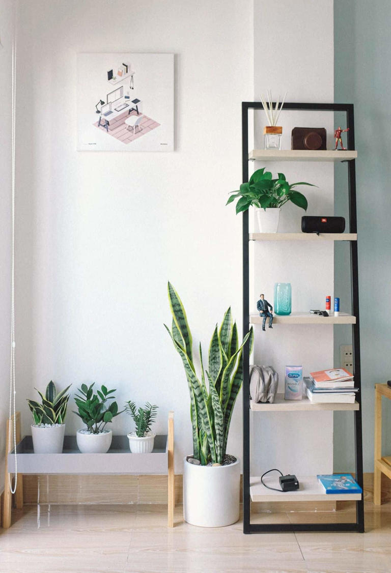 What To Put On Your Home Office Shelves