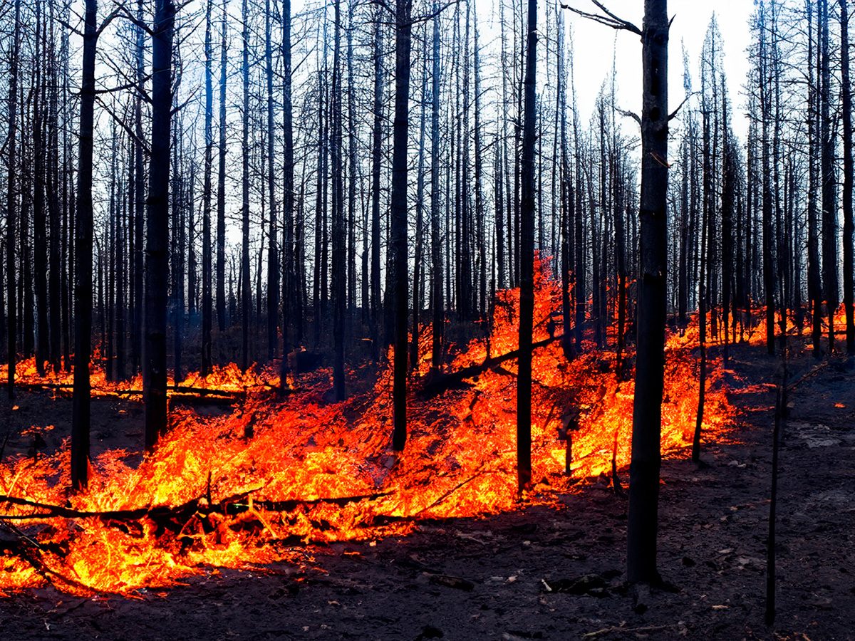 10 ingenious innovations that will save the world (and blow your mind)