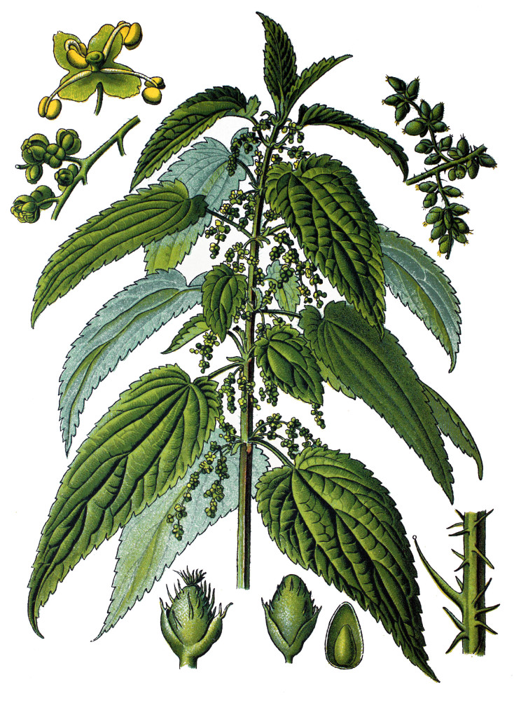 30 of the oldest things on Earth