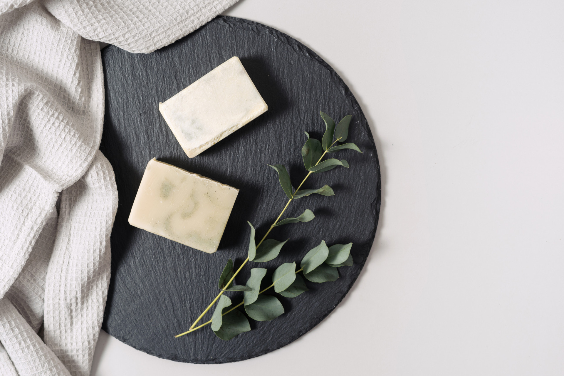 Which dog should you get based on your star sign?