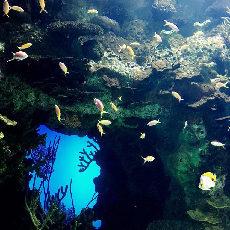 50+ exciting things to do in Atlanta at night