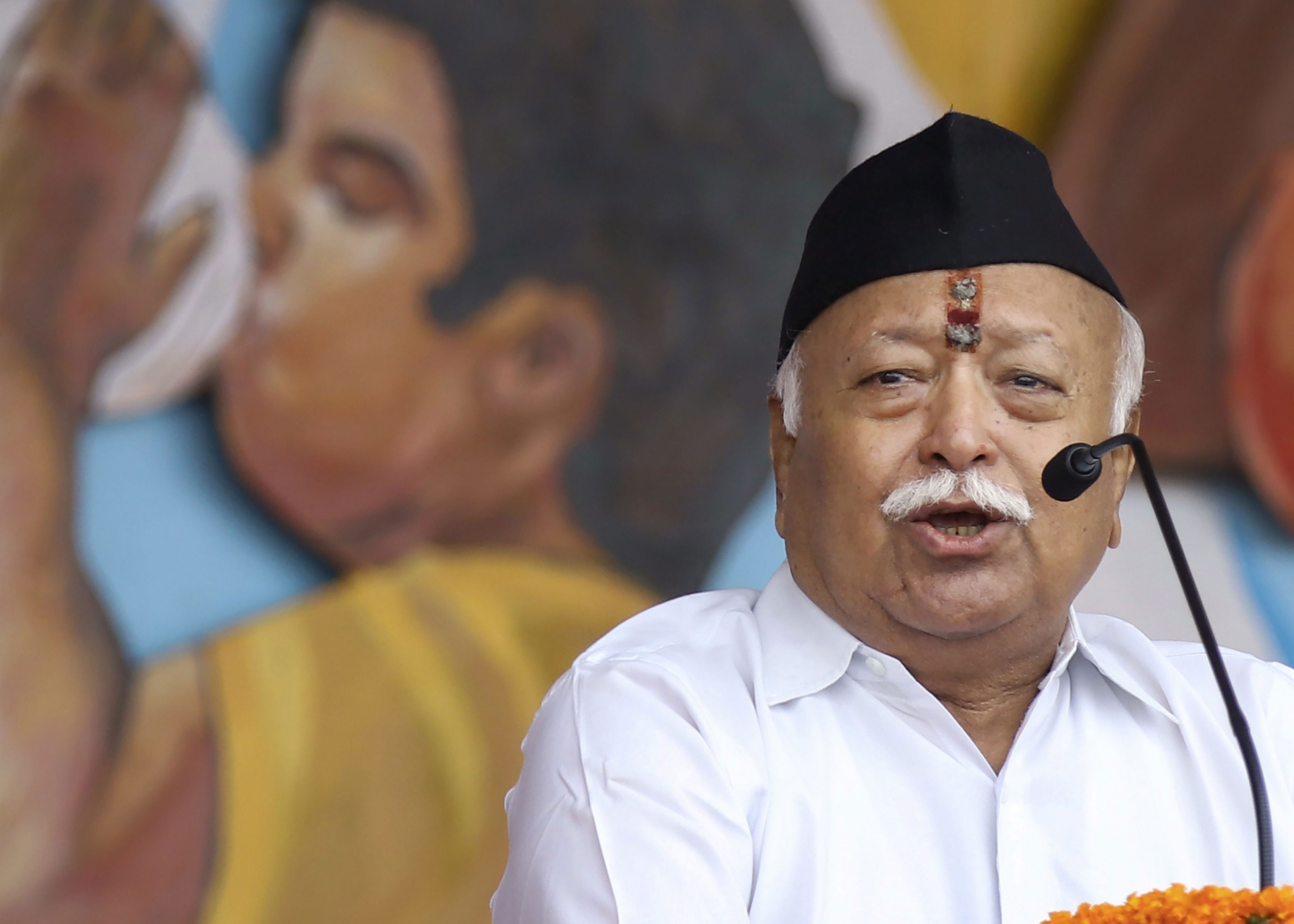 RSS volunteers will remove obstacles coming in way of Sanatan, seers ...