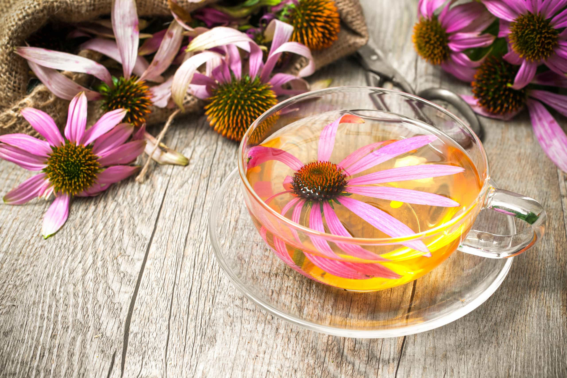 Can chicken soup and home remedies truly help combat a cold?