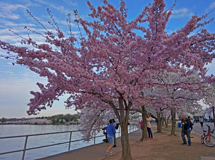 Springtime getaways: 10 best places to visit in April