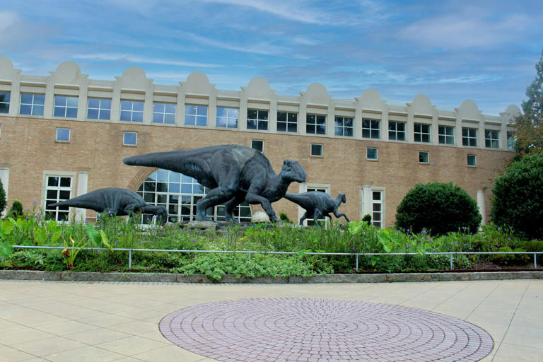 Best Dinosaur Museums in the US Kids Will Love (Adults Too!)