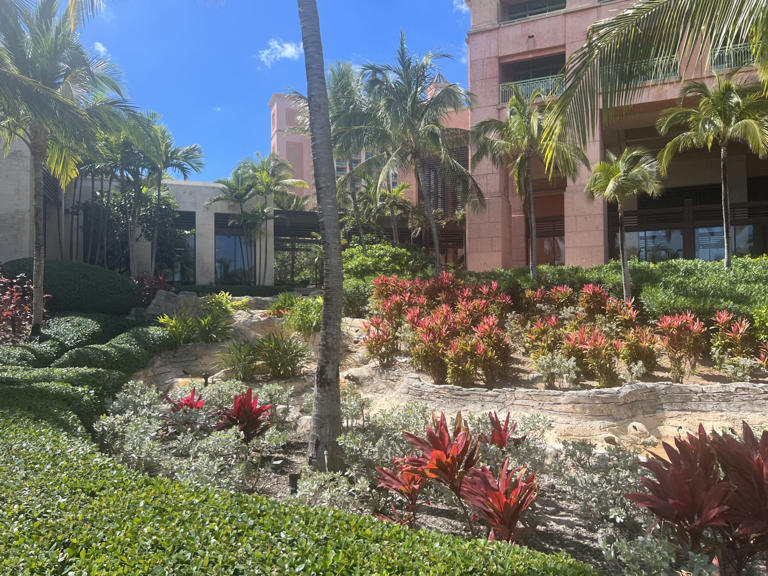 The Coral Atlantis Paradise Island Resort Review