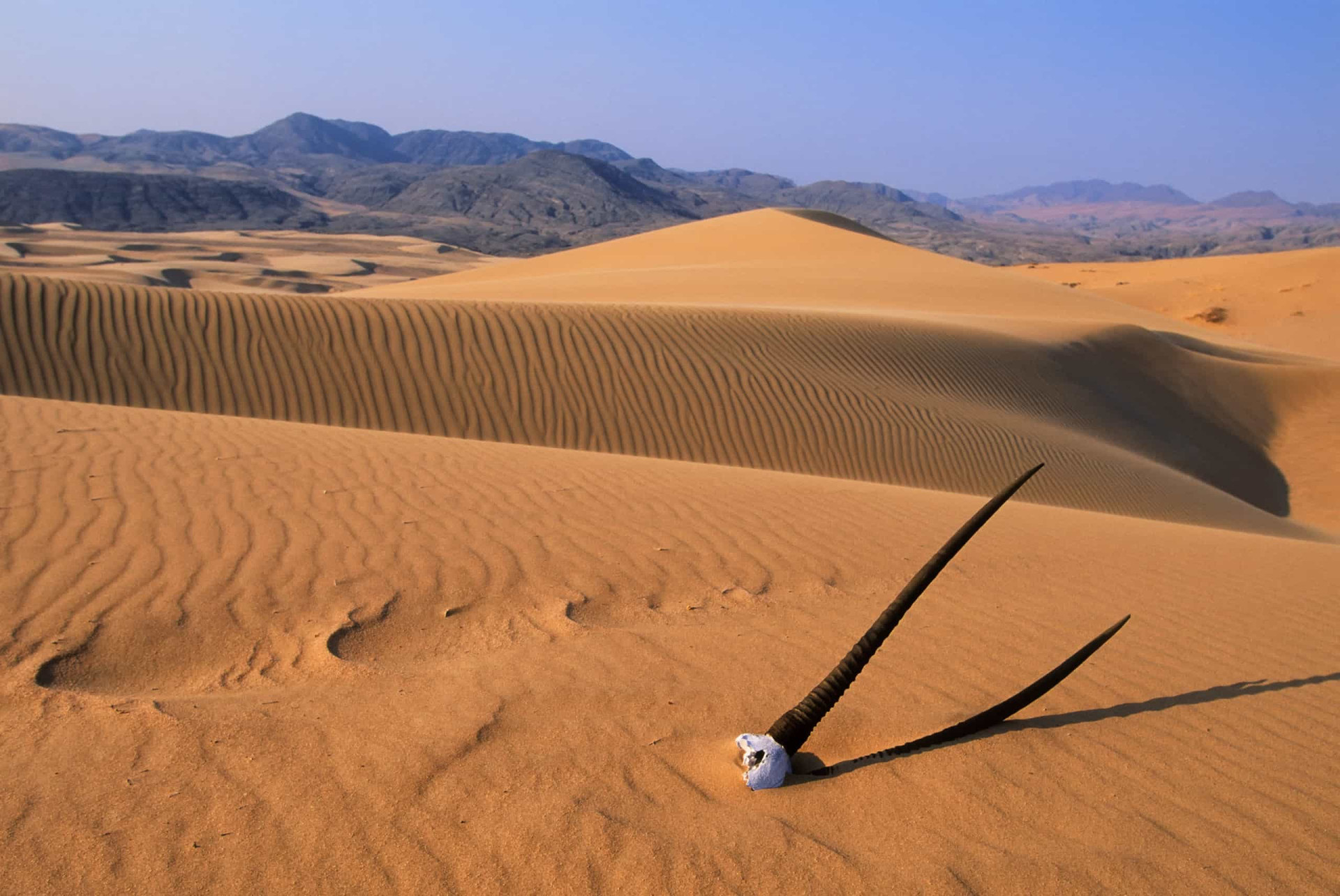 The unique landscape of Namibia's Skeleton Coast