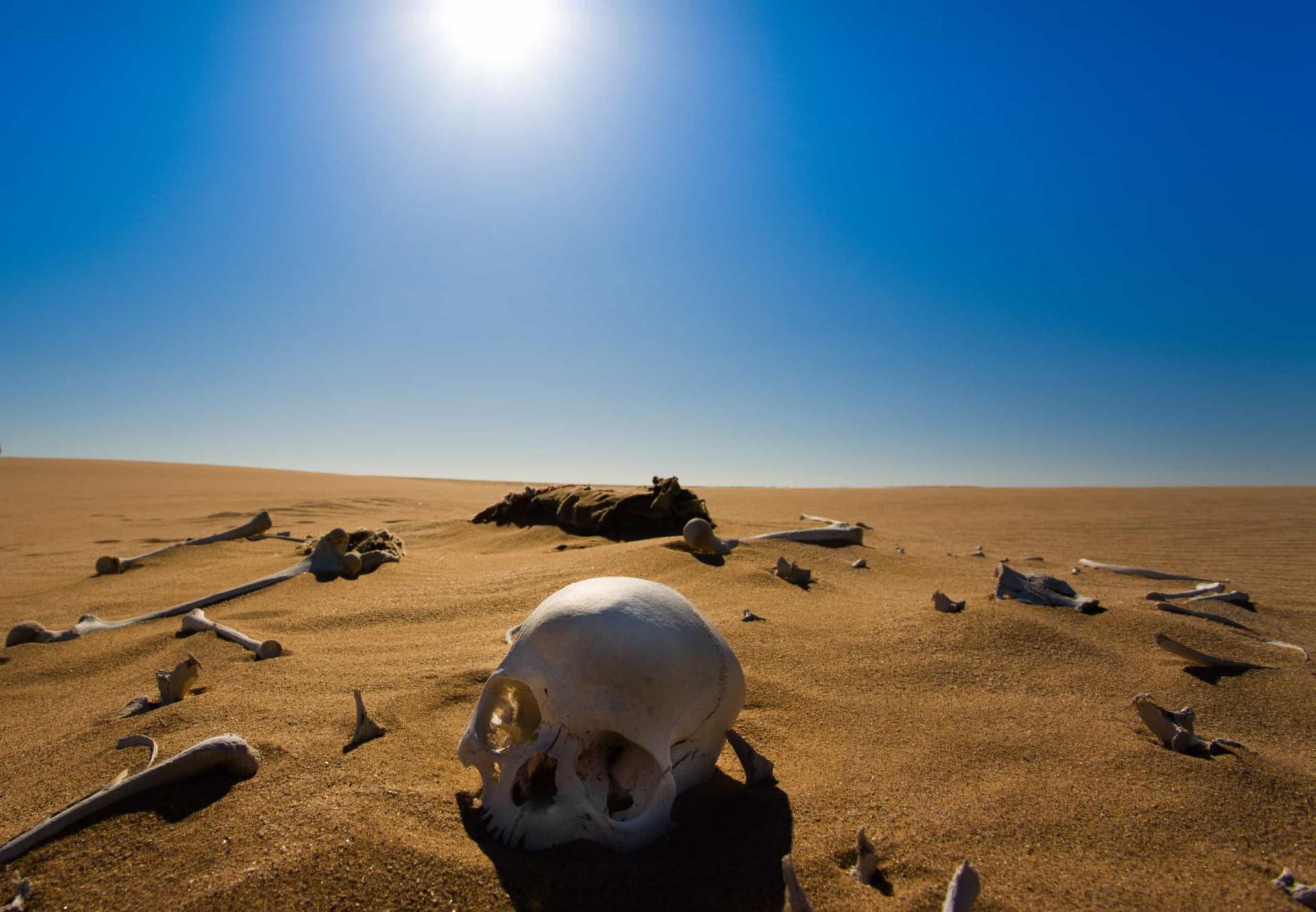Exploring the Skeleton Coast, the "land God made in anger"