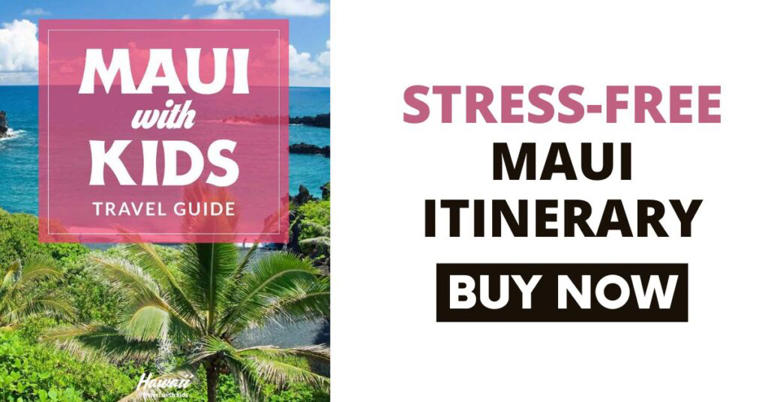 The only 8 Maui boat tours actually worth your money (2026)