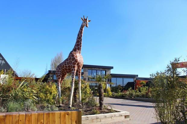 Everything you need to know about Colchester Zoo