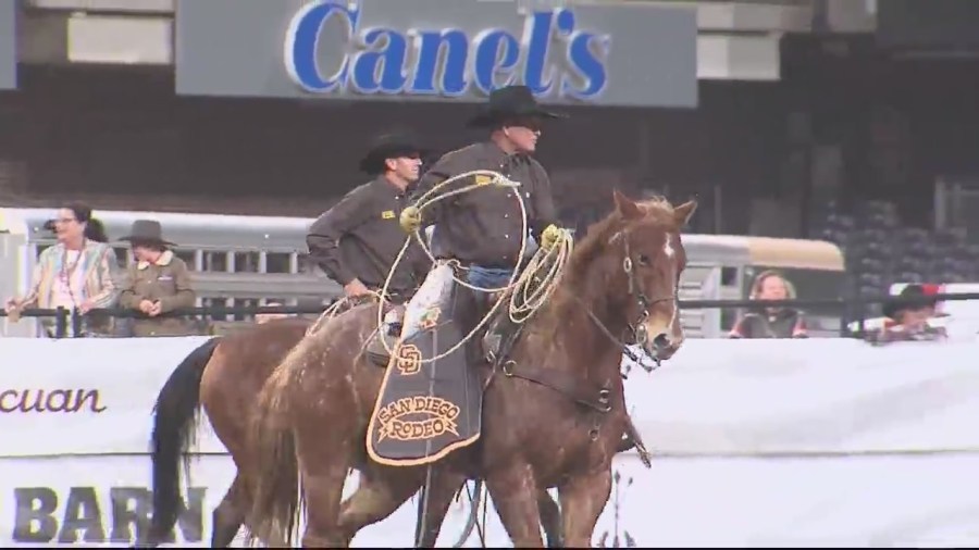 Investigation into Petco Park rodeo horse reveals cause of death