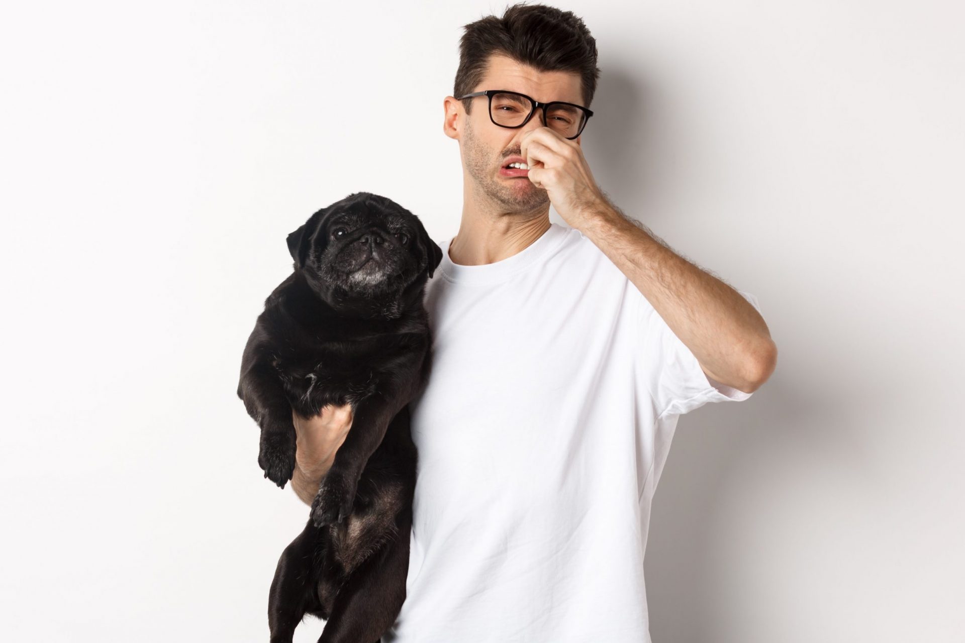Does it fart? Animal flatulence facts you didn't realize you need to know